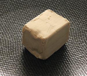 Les levures : bien les connaître pour mieux les utiliser - Saveur Lointaine